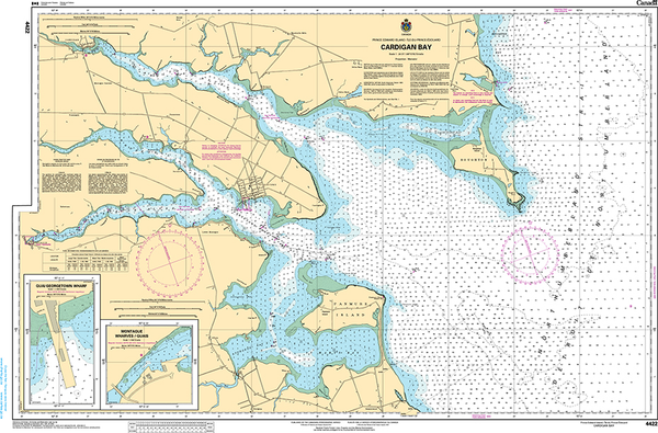 CHS Chart 4422: Cardigan Bay - Captain's Nautical Books & Charts